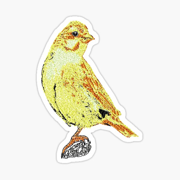 "Machine embroidery, Beautiful Embroidered Bird, Canarie, Stitch ...