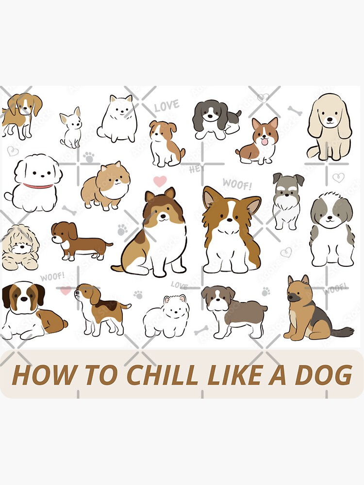 "HOW TO CHILL LIKE A DOG/ FUNNY STREET DOGS" Sticker by Loubnastory ...