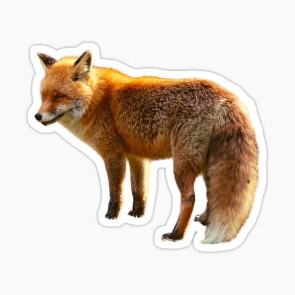 "Call of the wild" Sticker by WibuStore | Redbubble