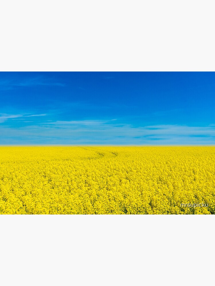 "Ukraine national flag landscape - Landscape resembling Ukrainian Flag ...