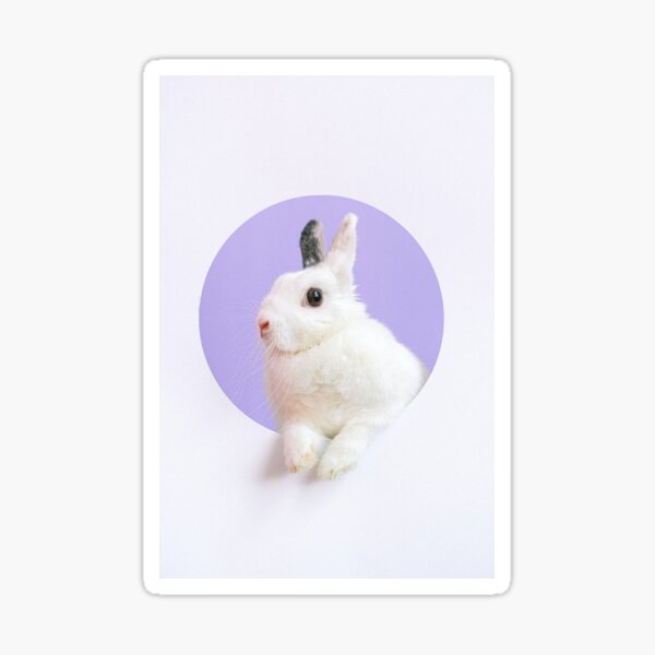 "White Rabbit" Sticker by dina215 | Redbubble