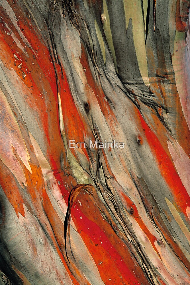 "Snow Gum Bark" by Ern Mainka | Redbubble