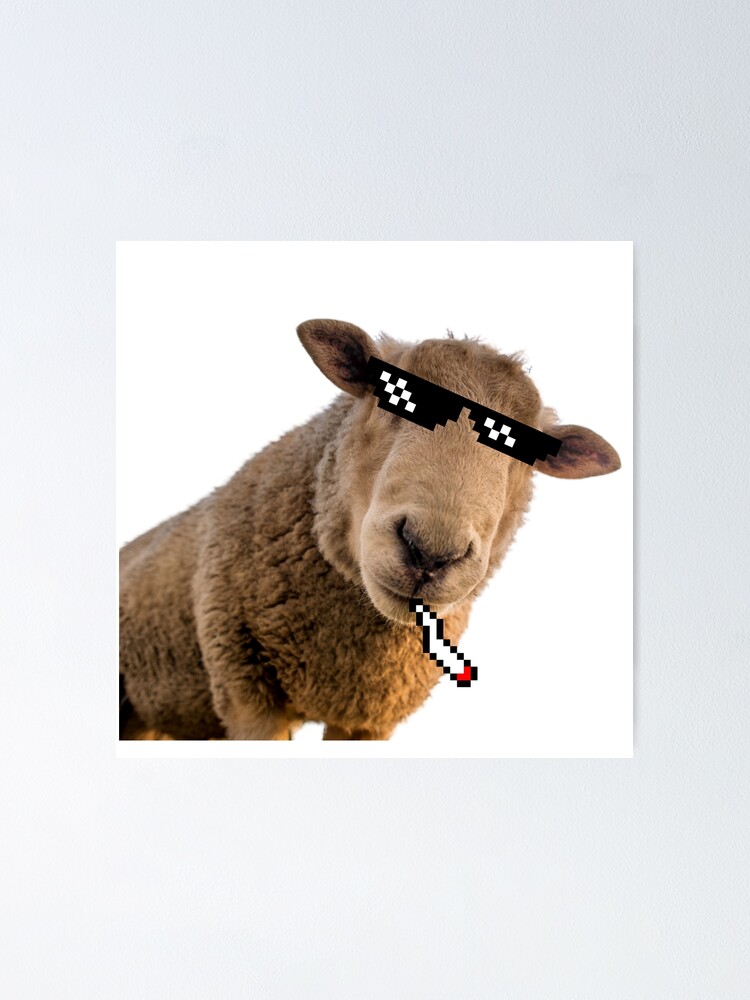 "curious sheep thug life" Poster for Sale by braveexperience | Redbubble