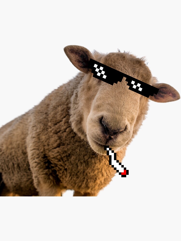 "curious sheep thug life" Sticker for Sale by braveexperience | Redbubble