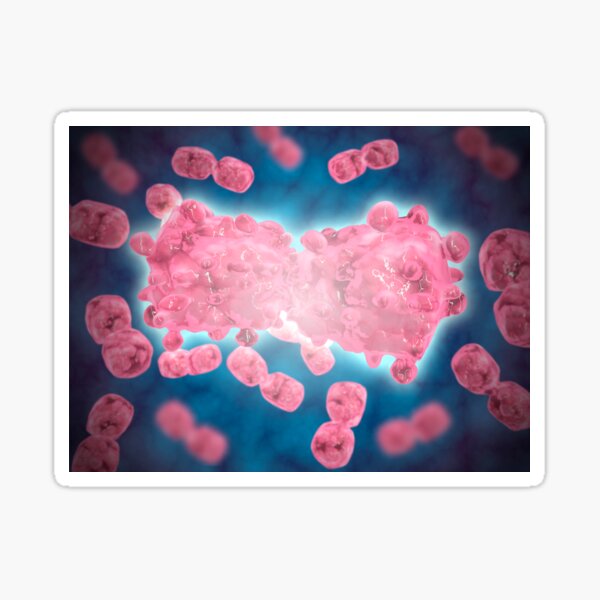 "Microscopic view of a group of leukemia cells." Sticker for Sale by ...