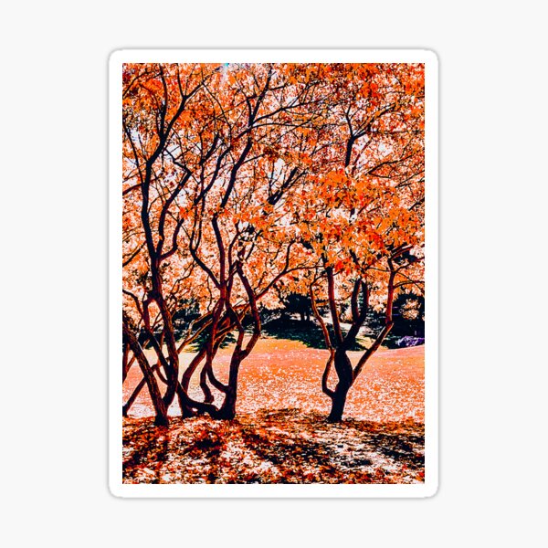 "Fall Tree" Sticker for Sale by JLaNae | Redbubble