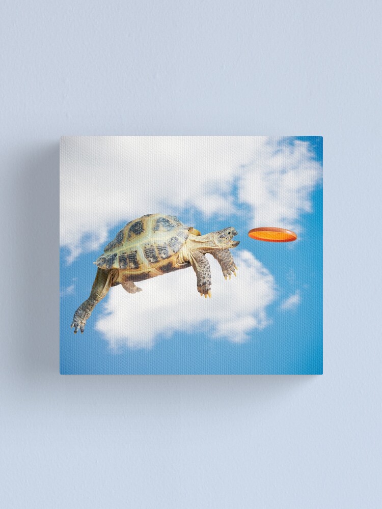 "Funny Frisbee Catching Turtle" Canvas Print for Sale by DV-LTD | Redbubble