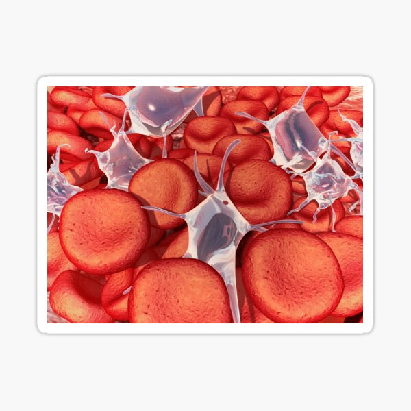 "Conceptual image of red blood cells with platelets." Sticker for Sale ...