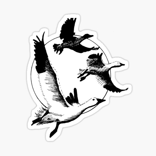 "Ducks flying" Sticker for Sale by Terrybadgley | Redbubble