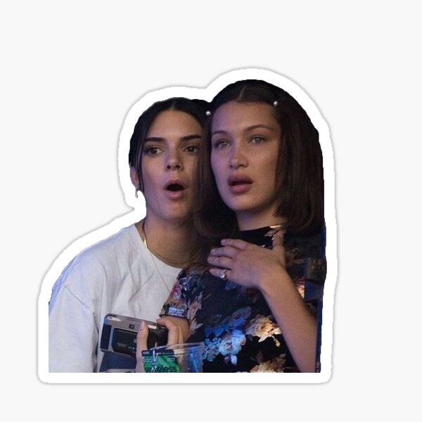 "Bella Hadid and Kendall Jenner sticker" Sticker for Sale by ...
