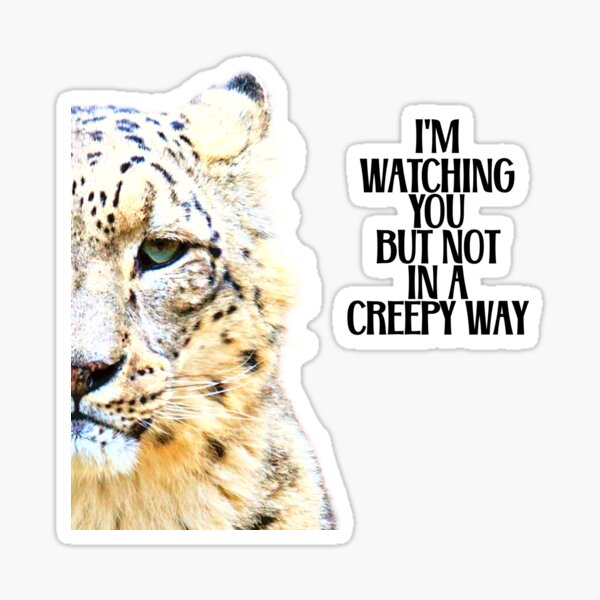 "Cheetah is Watching You But is Not Creepy" Sticker by EffSharp | Redbubble