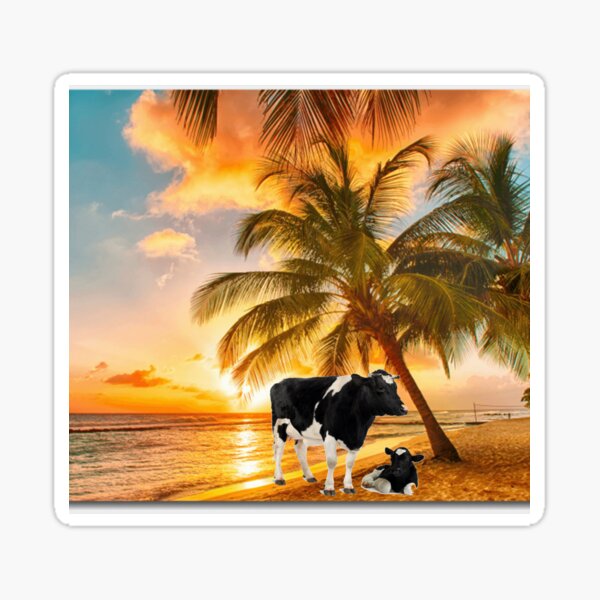 "Cow With Her a calf At The Sea Lightning and Thunder" Sticker by ...