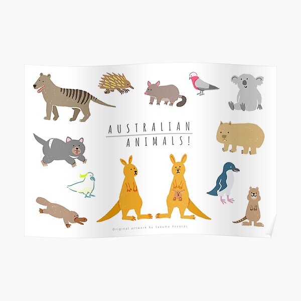 "Australian animals (Tasmanian devil,platypus,kangaroo,koala,Quokka ...