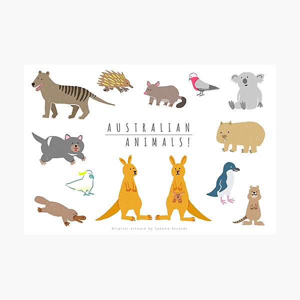 "Australische Tiere (Tasmanischer Teufel, Schnabeltier, Känguru, Koala ...