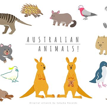 "Australian animals (Tasmanian devil,platypus,kangaroo,koala,Quokka ...