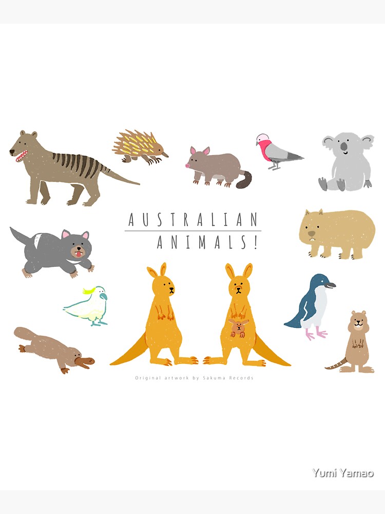 "Australian animals (Tasmanian devil,platypus,kangaroo,koala,Quokka ...