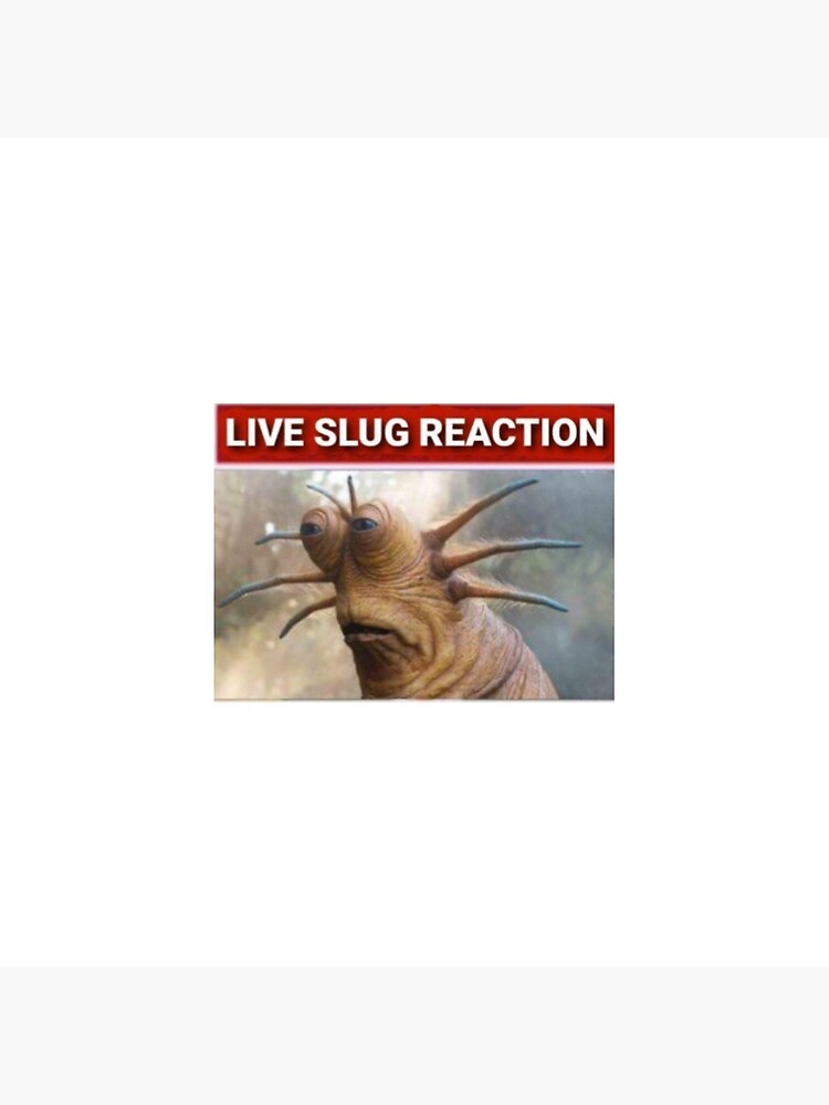 "live slug reaction meme" Pin for Sale by scumbigula | Redbubble