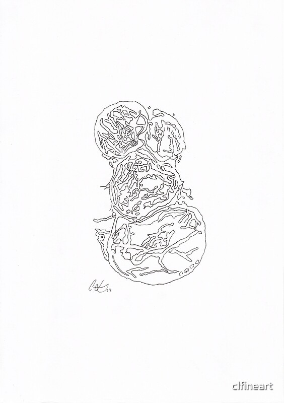 "Peripheral Nerve Line Drawing CLFineArtist " by clfineart | Redbubble