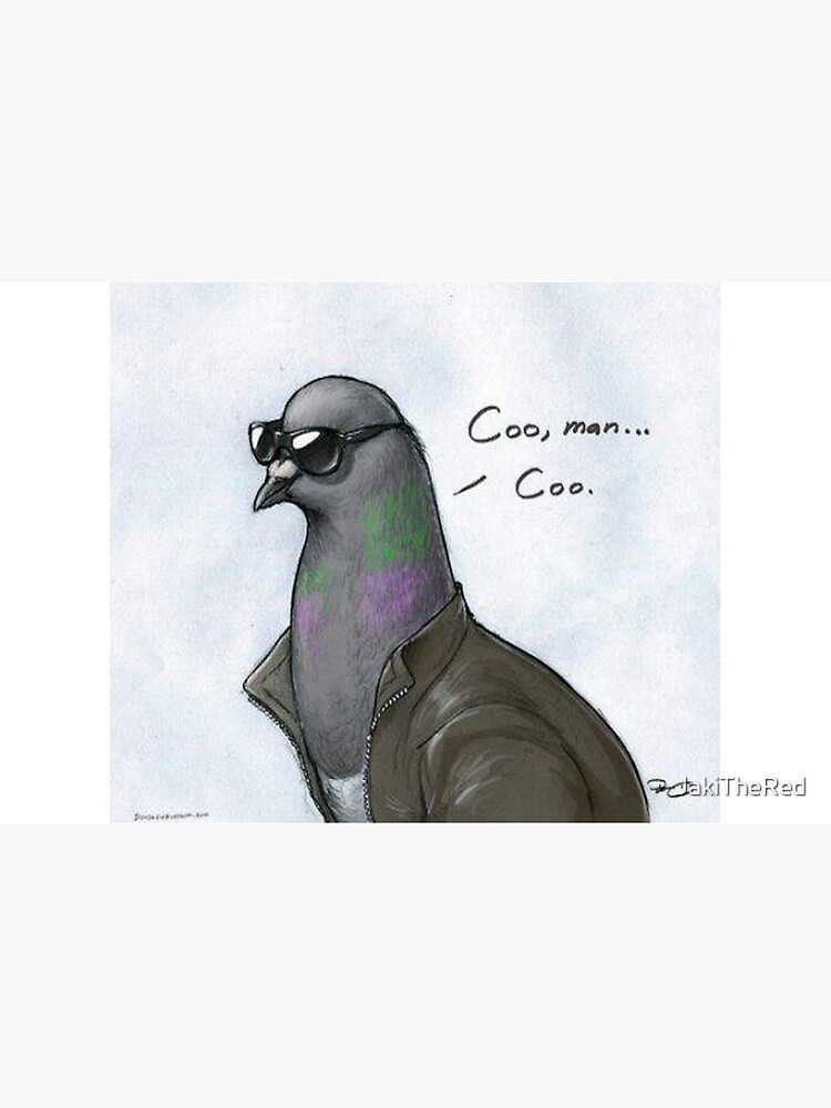 Coo Pigeon Memes Nothing But Pigeons (18 Memes And Tweets) I Can Has