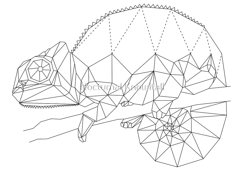 « Chameleon géométrique » par Nocturnal Knowitall | Redbubble