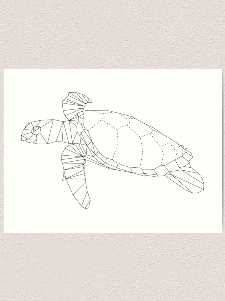 "Geometric Turtle" Art Print by n-knowitall | Redbubble