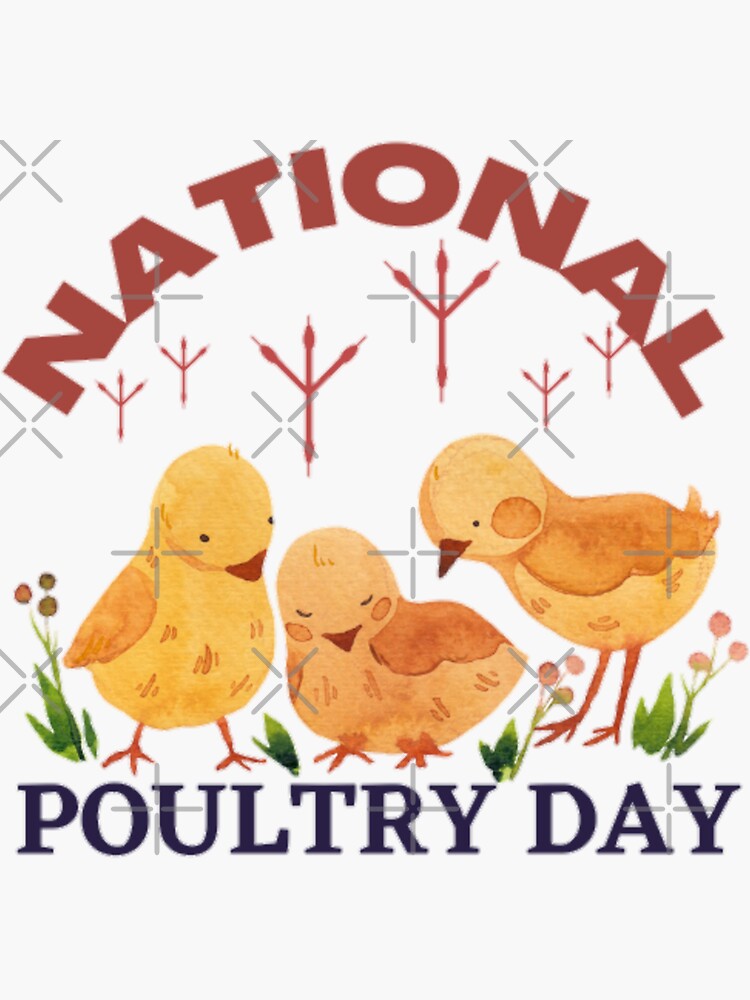 "NATIONAL POULTRY DAY| POULTRY DAY | POULTRY CHICKEN " Sticker by ...