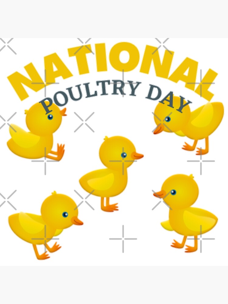 "NATIONAL POULTRY DAY| POULTRY DAY | POULTRY CHICKEN " Poster by ...