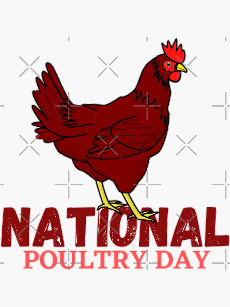 "NATIONAL POULTRY DAY| POULTRY DAY | POULTRY CHICKEN " Sticker by ...
