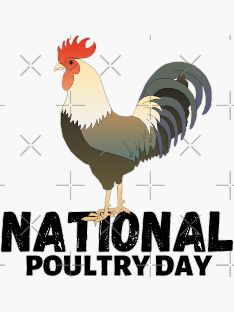 "NATIONAL POULTRY DAY| POULTRY DAY | POULTRY CHICKEN " Sticker by ...