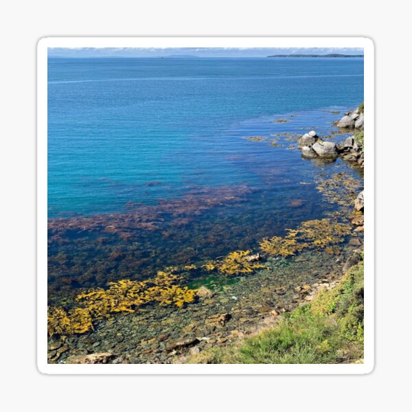 "Blue Ocean View" Sticker by wonderwin | Redbubble