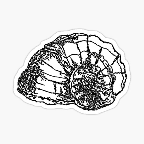 "Machine Embroidery, Beautiful Monochrome Embroidered Shell, 7, Stitch ...