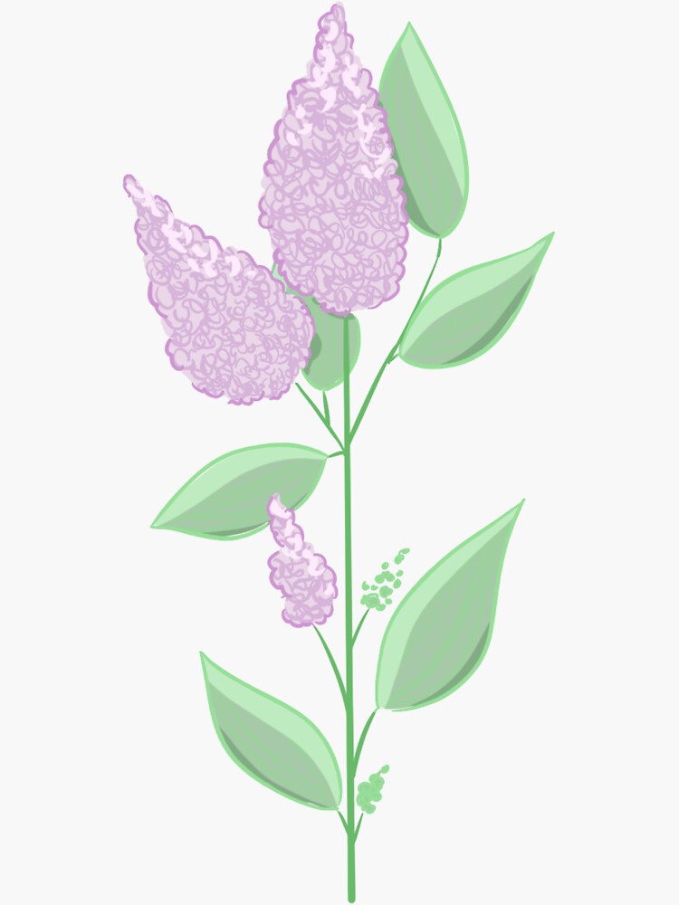 "Lilac flower" Sticker by cinnamondrawing | Redbubble