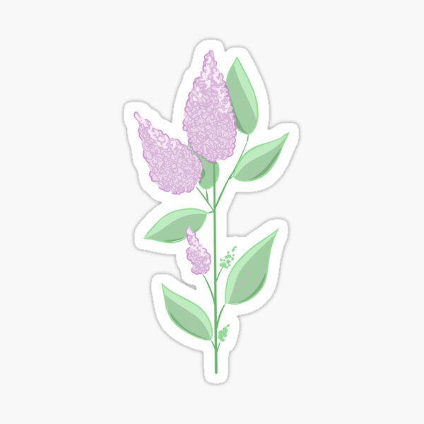 "Lilac flower" Sticker by cinnamondrawing | Redbubble