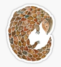 Pangolin: Stickers | Redbubble