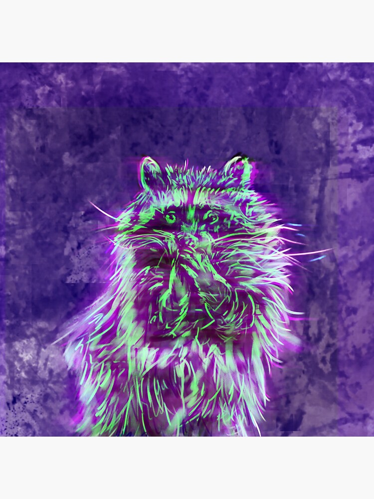 "Wow raccoon" Sticker by LeeTulpa | Redbubble