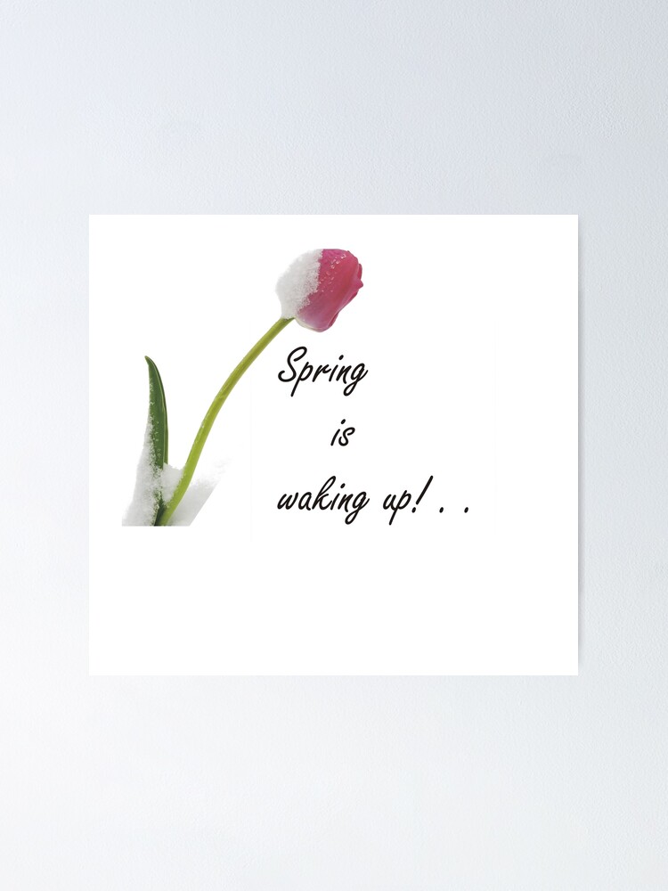 "Spring is Waking up!.. " Poster for Sale by JosonArtist | Redbubble