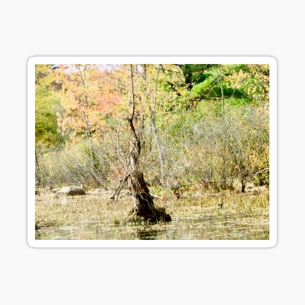 "Dead Tree" Sticker by Shulie1 | Redbubble