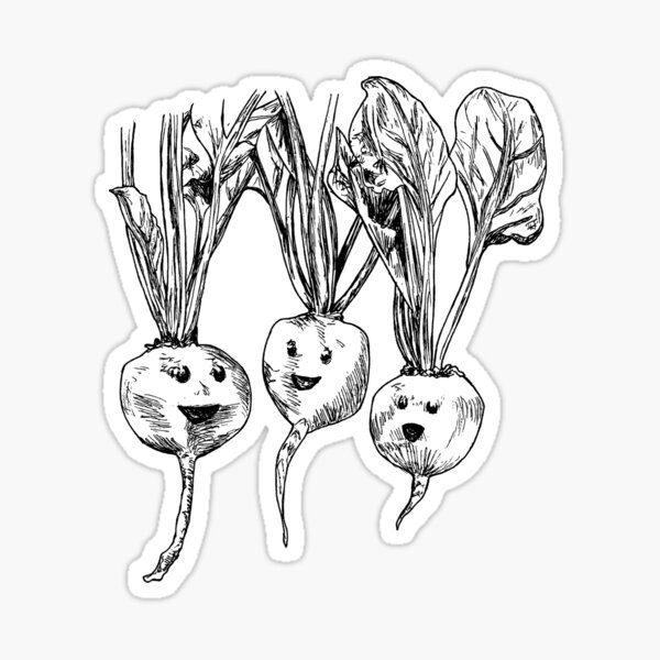 "Beetroot" Sticker by Dippychu | Redbubble