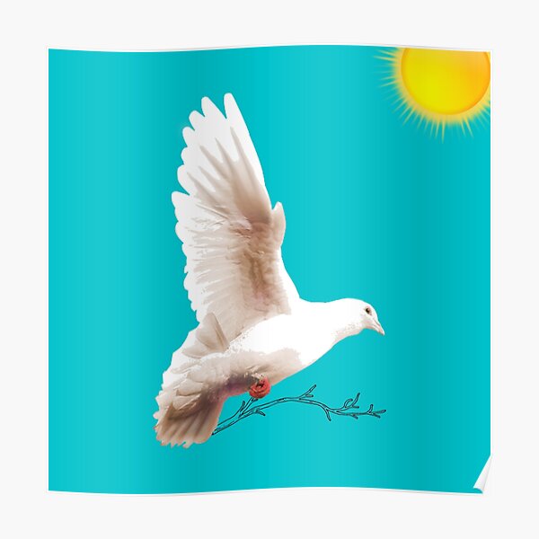 "Dove" Poster for Sale by Tchodesign | Redbubble