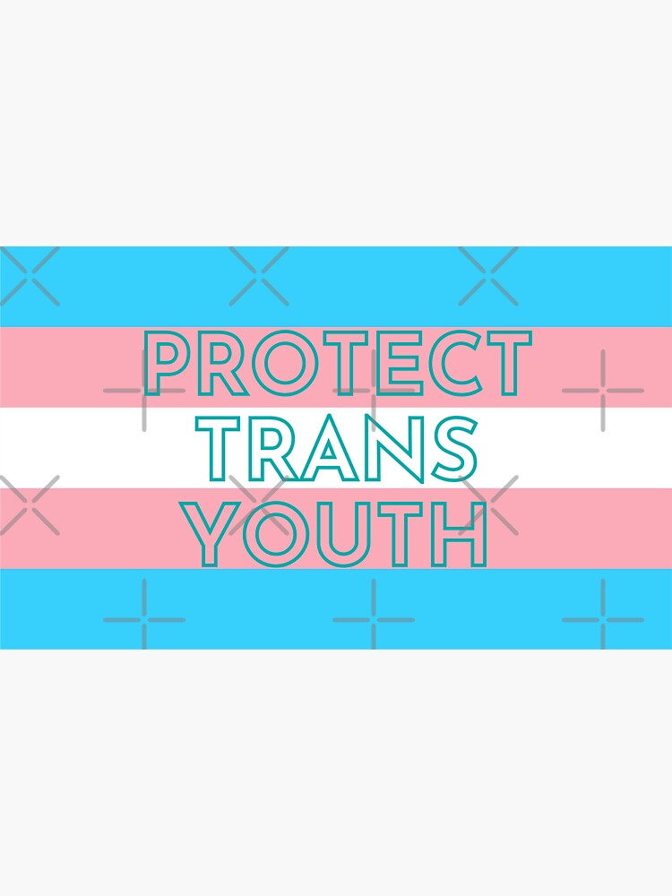 "protect trans youth | protect trans kids classic shirt | sticker ...