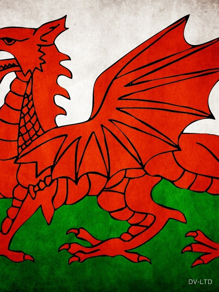 "Welsh Wales Flag Distressed Style" Mini Skirt for Sale by DV-LTD ...