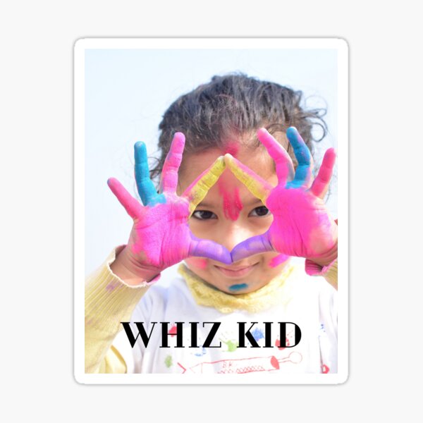 "Whiz Kid Art" Sticker for Sale by PANGRAM-MOON | Redbubble