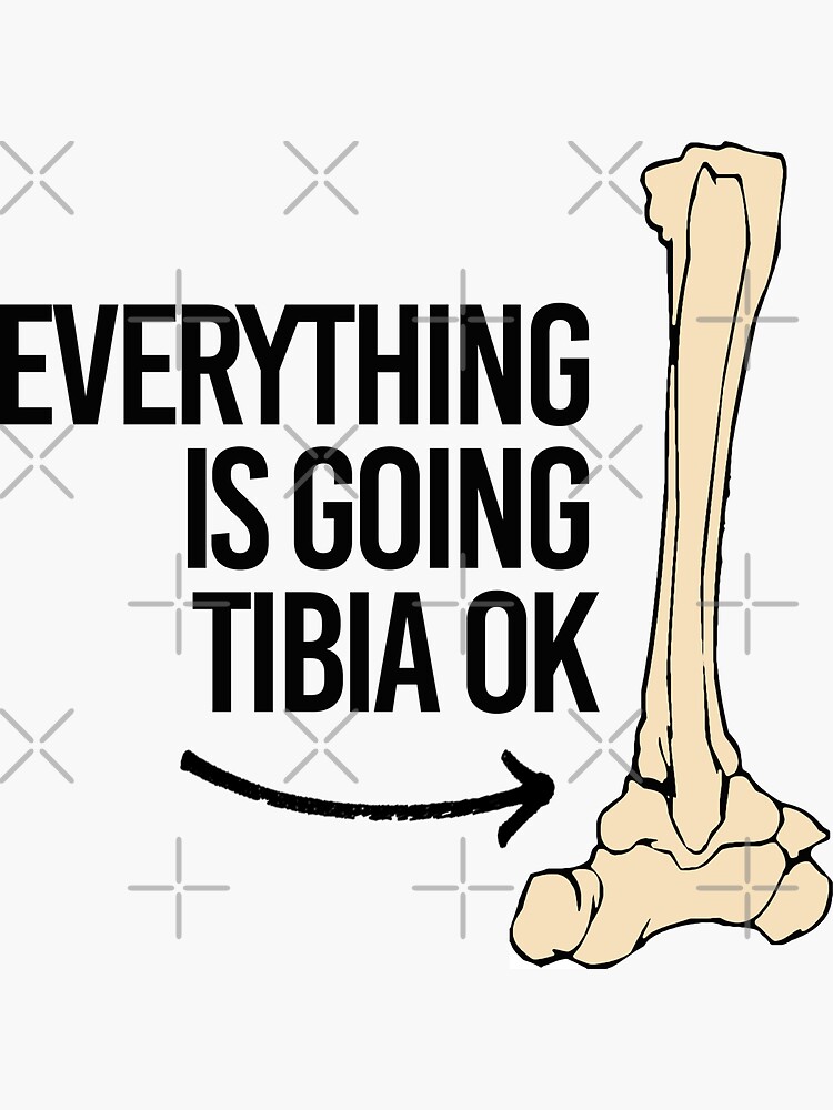 Tibia Merch & Gifts for Sale | Redbubble
