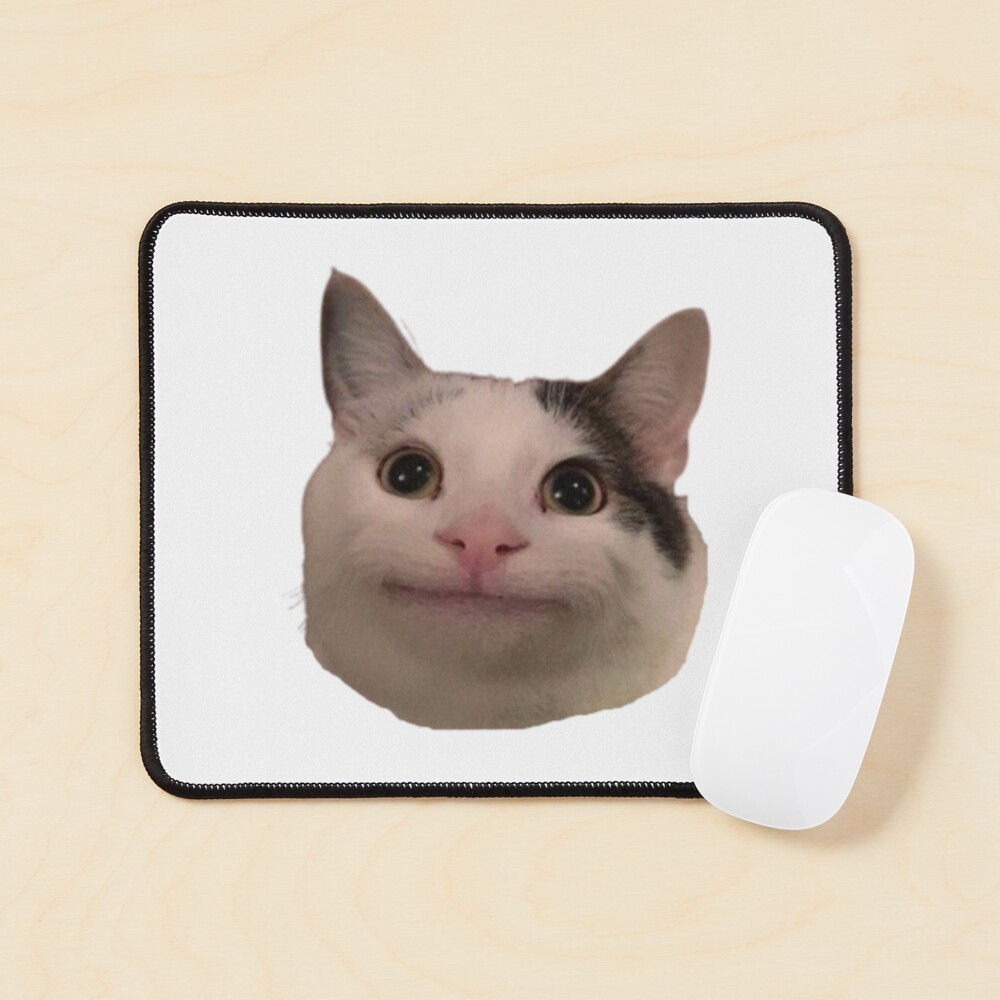 "beluga cat " Sticker for Sale by Liamandlore | Redbubble