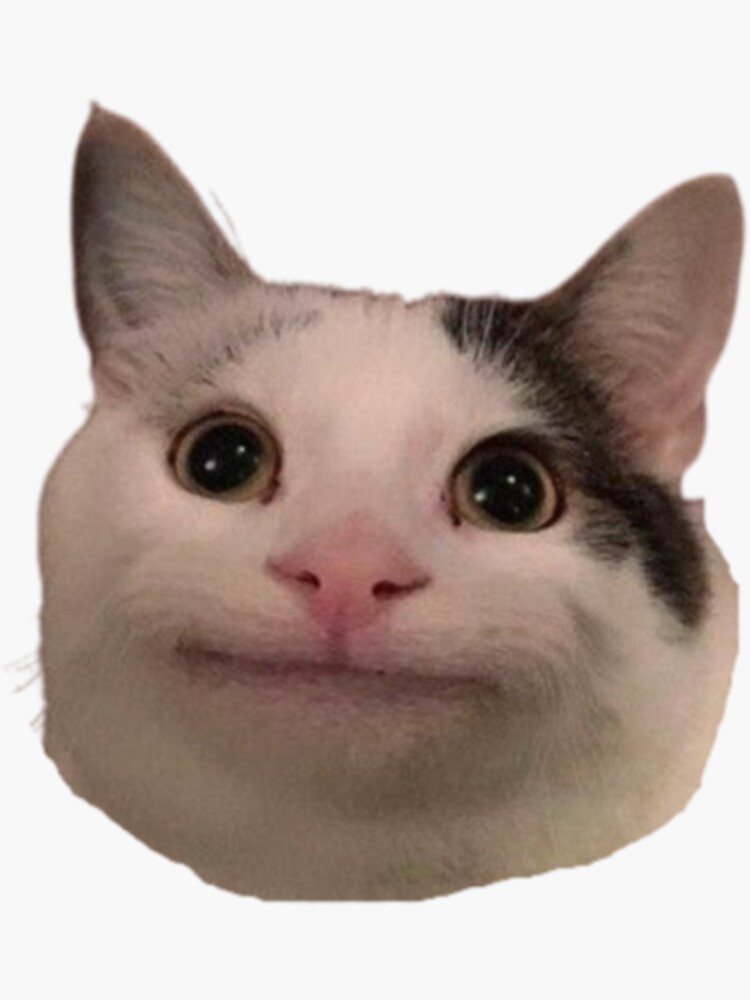 "beluga cat " Sticker for Sale by Liamandlore | Redbubble