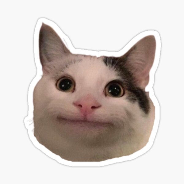 "beluga cat " Sticker for Sale by Liamandlore | Redbubble