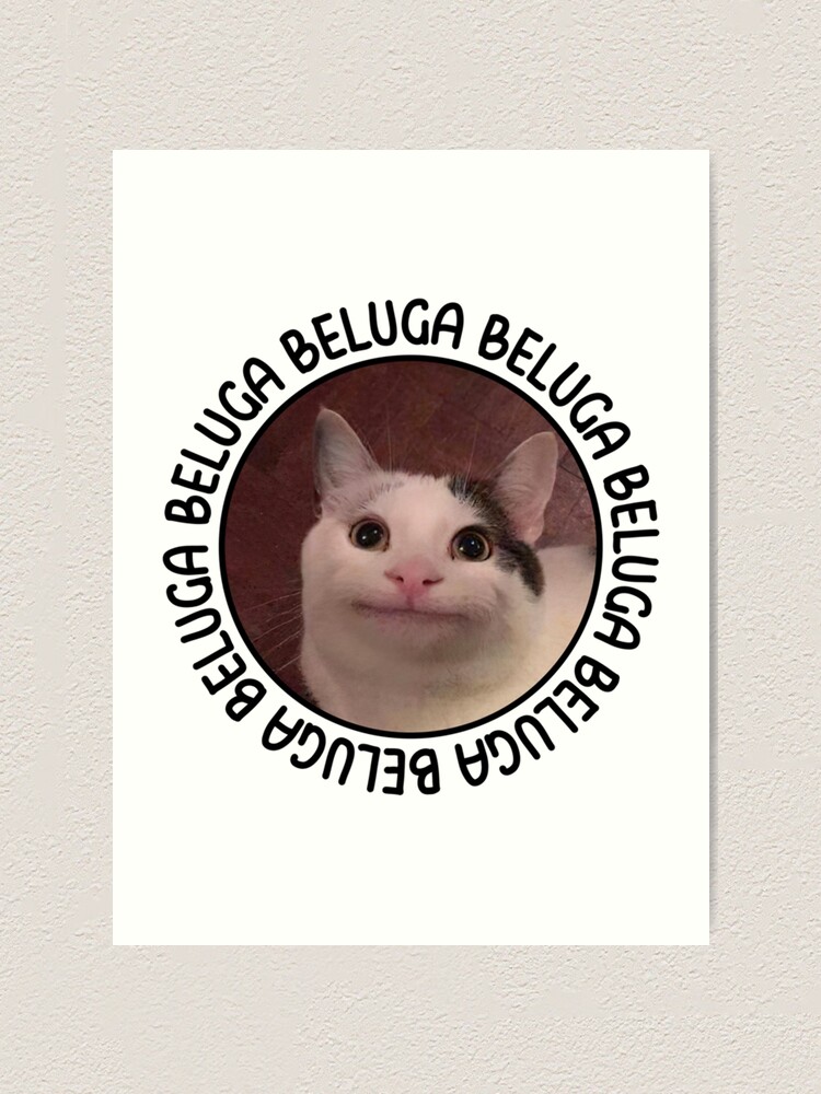"Beluga cat discord meme " Art Print for Sale by Liamandlore | Redbubble