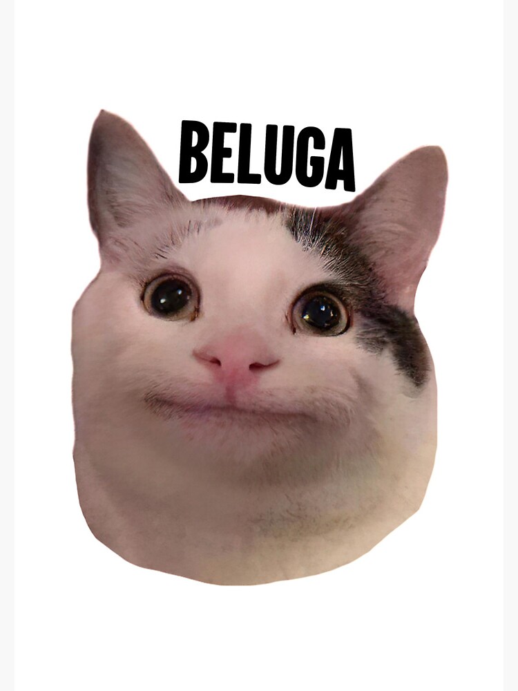"beluga cat discord pfp " Journal for Sale by Liamandlore | Redbubble