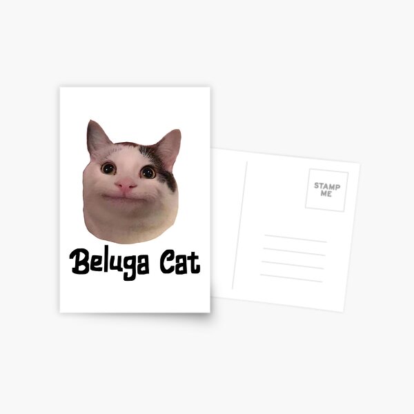 "beluga cat discord pfp" Postcard for Sale by Liamandlore | Redbubble