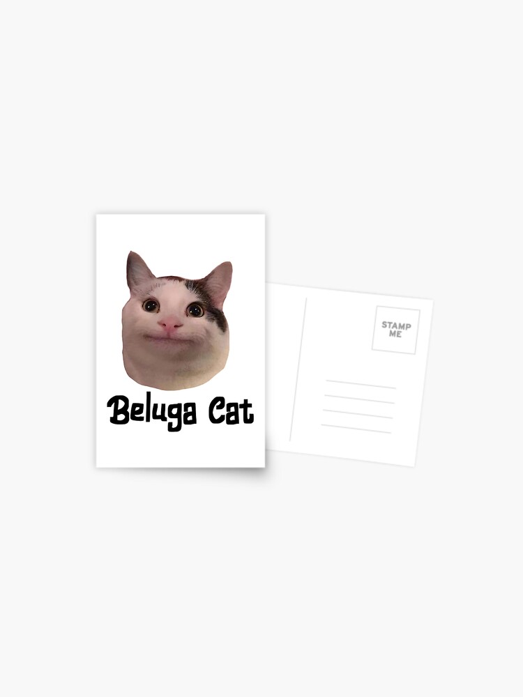 "beluga cat discord pfp" Postcard for Sale by Liamandlore | Redbubble